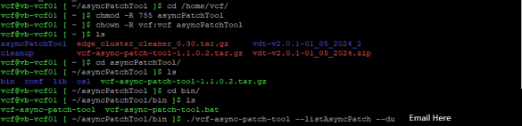 How To Apply Async Patch to VMware Cloud Foundation 5.1+ – Virtual Bytes